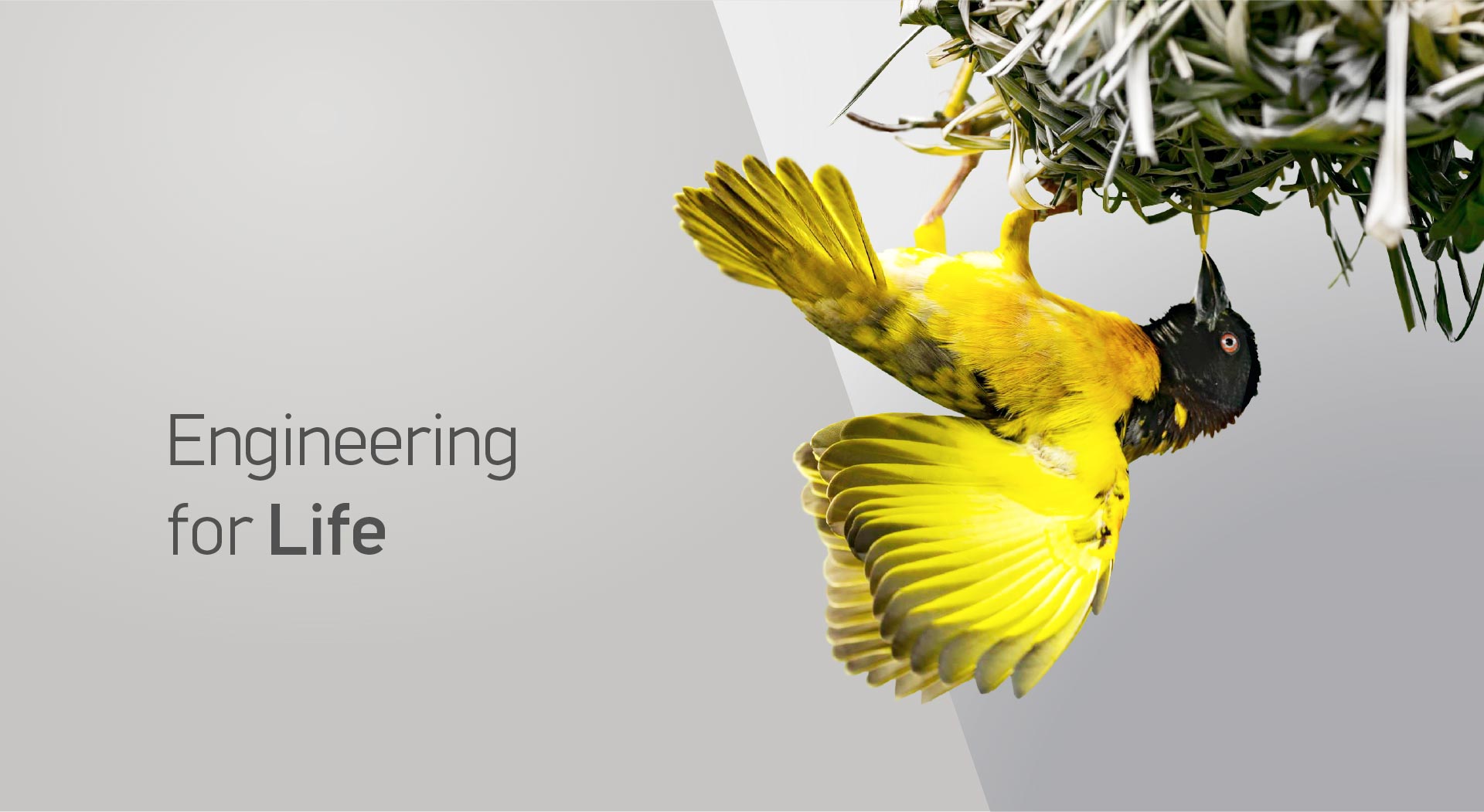 Metron SA | Engineering for Life